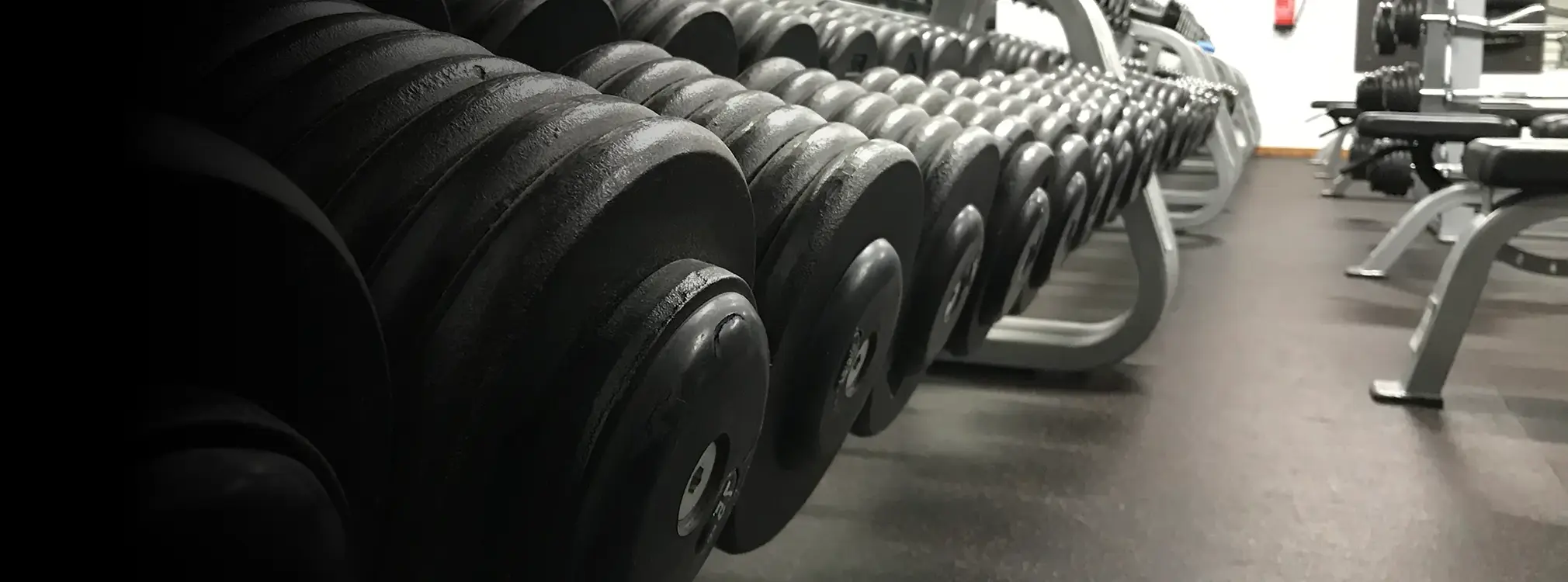Das Fitnessstudio - In Shape Winsen (Aller)